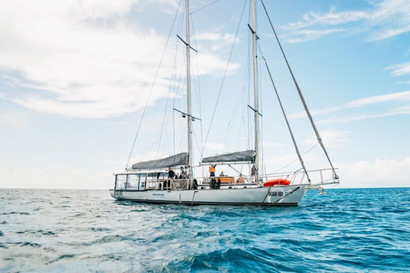 Cairns: Green Island & Great Barrier Reef Sailing Tour - Introduction to the Cairns Green Island & Reef Sailing Tour