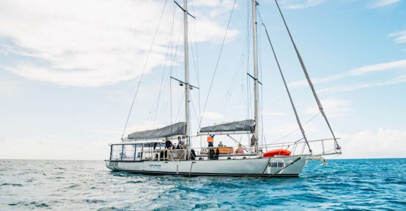 Cairns: Green Island & Great Barrier Reef Sailing Tour - Who Should Book This Tour?