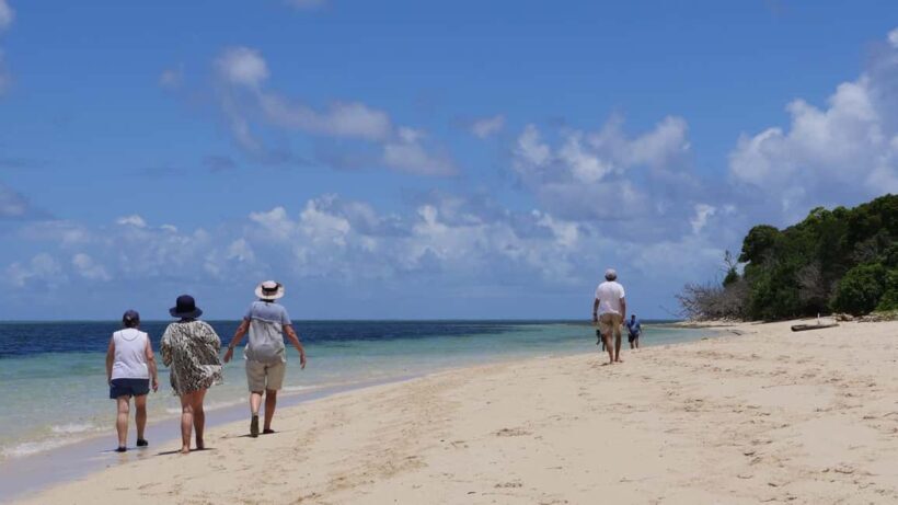 Cairns: Green Island & Great Barrier Reef Sailing Tour - Frequently Asked Questions