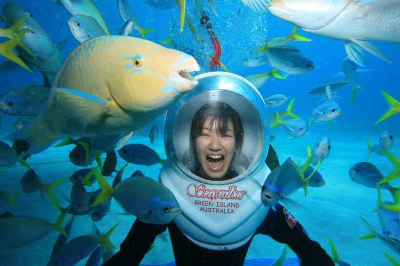 Cairns: Green Island Snorkelling or Glass Bottom Boat - An Introduction to the Green Island Tour
