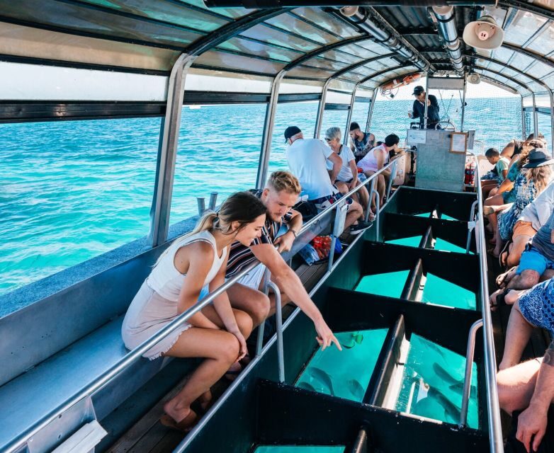 Cairns: Green Island Snorkelling or Glass Bottom Boat - Pricing and Value