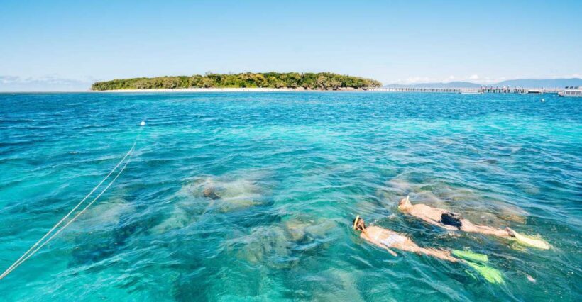 Cairns: Green Island Snorkelling or Glass Bottom Boat - The Experience Through the Eyes of Reviewers