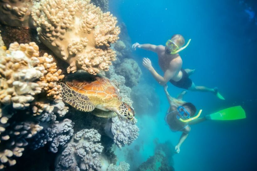 Cairns: Green Island Snorkelling or Glass Bottom Boat - Final Thoughts: Is This Tour Right for You?