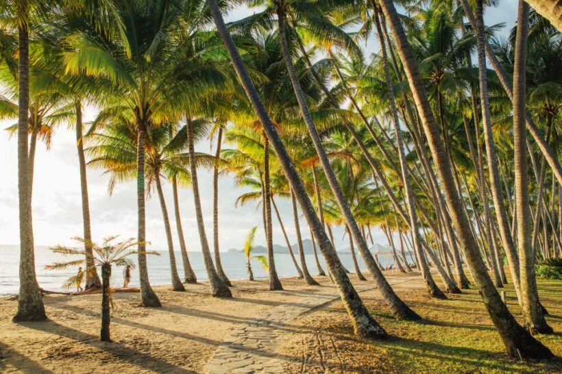 Cairns: Half-Day City Sightseeing Tour - Key Points