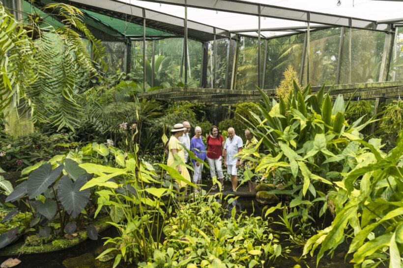 Cairns: Half-Day City Sightseeing Tour - A Detailed Look at the Cairns Half-Day Tour