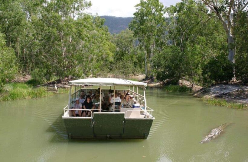 Cairns: Hartley's Crocodile Adventures Visit with Transfer - Key Points
