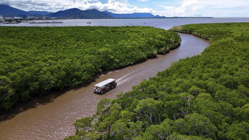 Cairns: Immersive Small Group Indigenous Cultural Experience - A Closer Look at the Experience