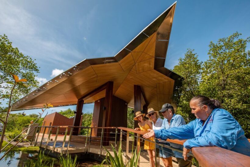 Cairns: Immersive Small Group Indigenous Cultural Experience - Who Will Appreciate This Tour?