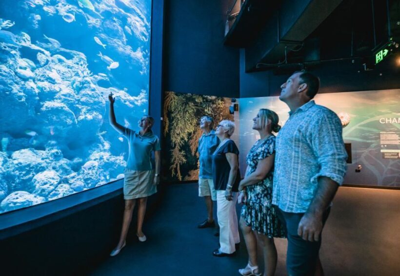 Cairns: Night at the Aquarium Guided Tour & 2 Course Dinner - An Engaging Introduction to the Night at the Aquarium Experience