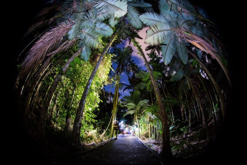 Cairns: Night Walk in Cairns Botanic Gardens - FAQ