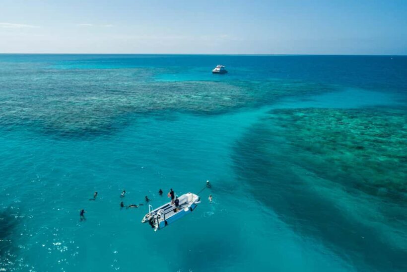 Cairns: Outer and Coral Cay Snorkel and Dive Cruise - Key Points