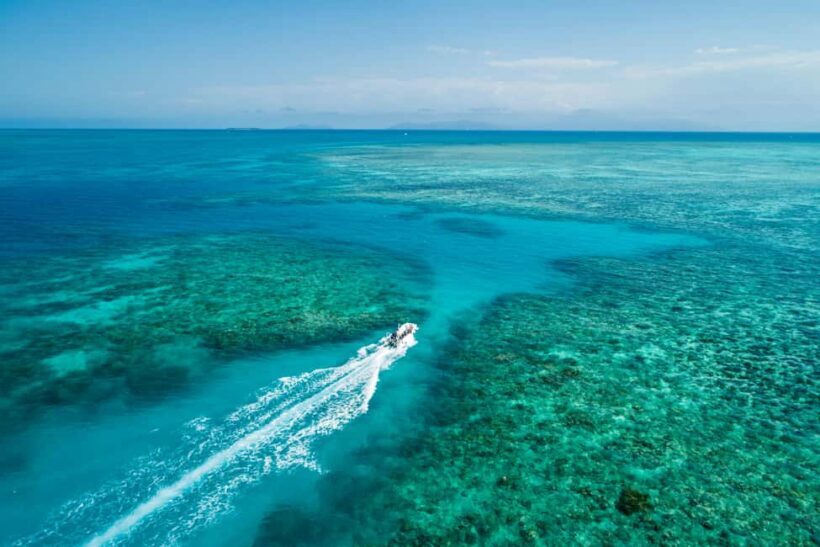 Cairns: Outer and Coral Cay Snorkel and Dive Cruise - Reviews in Their Own Words: Authentic Perspectives