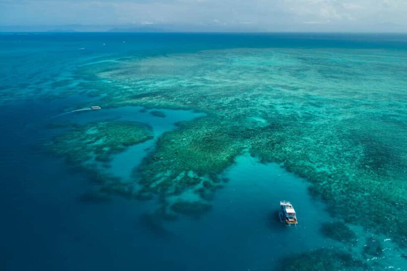 Cairns: Outer and Coral Cay Snorkel and Dive Cruise - The Sum Up