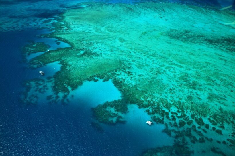Cairns: Outer Edges of The Great Barrier Reef Scenic Flight - The Itinerary: What You Can Expect