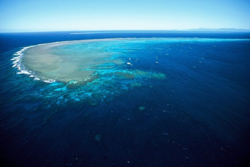 Cairns: Outer Great Barrier Reef Full-Day Tour with Lunch - Who Should Consider This Reef Tour?