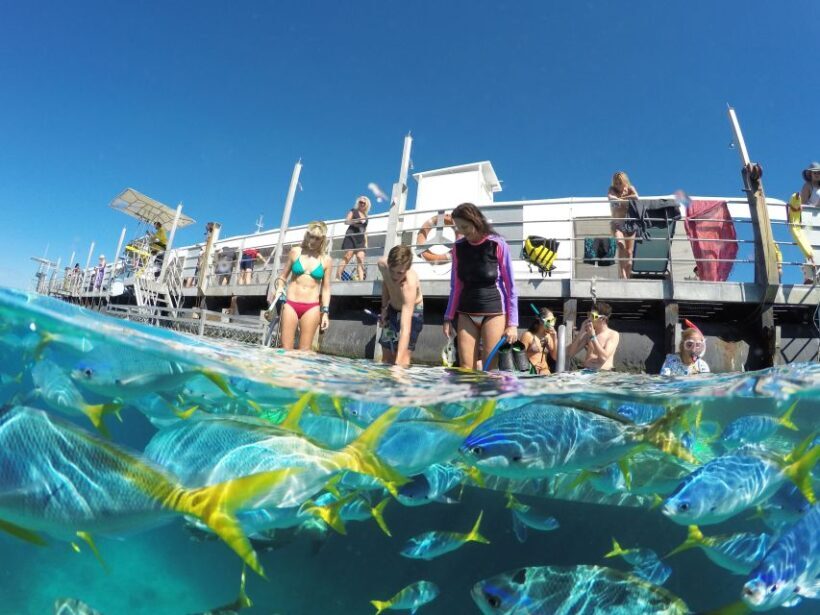 Cairns: Outer Great Barrier Reef Pontoon with Activities - What the Reviews Tell Us
