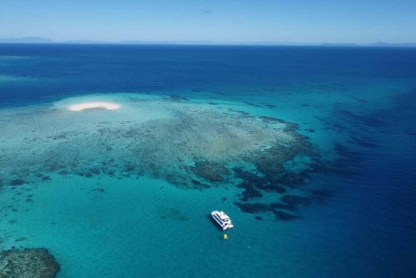 Cairns: Outer Reef Snorkel & Dunk Island Small Group Tour - An Overview of the Experience