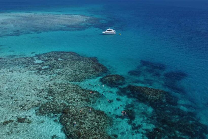 Cairns: Outer Reef Snorkel & Dunk Island Small Group Tour - The Itinerary in Detail