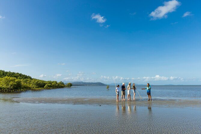 Cairns Paronella Park Herberton and Wild life Tour - The Sum Up