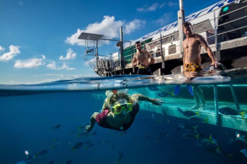 Cairns: Reef Zoom Half Day Helicopter & Snorkeling Tour - Transportation and Logistics