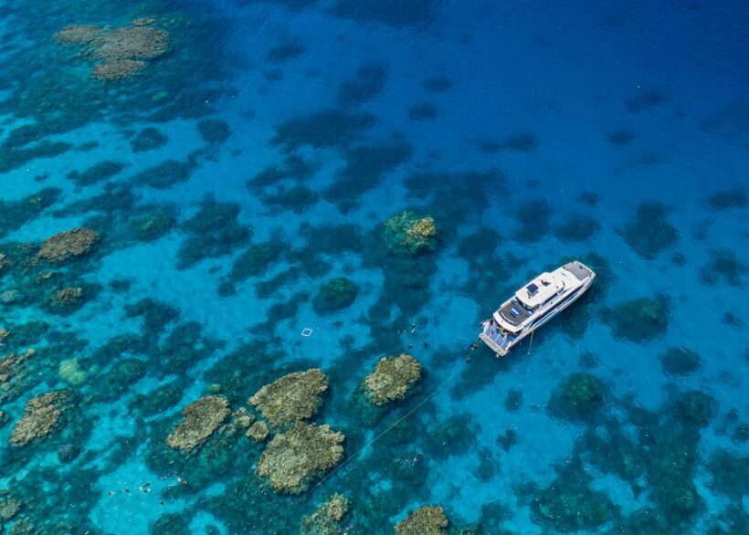 Cairns: Silverswift 3 Great Barrier Reef Sites in 1 Day - Key Points