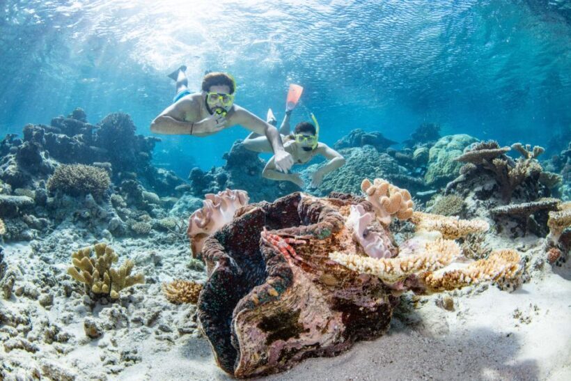 Cairns: Silverswift 3 Great Barrier Reef Sites in 1 Day - An Authentic Cairns Reef Experience