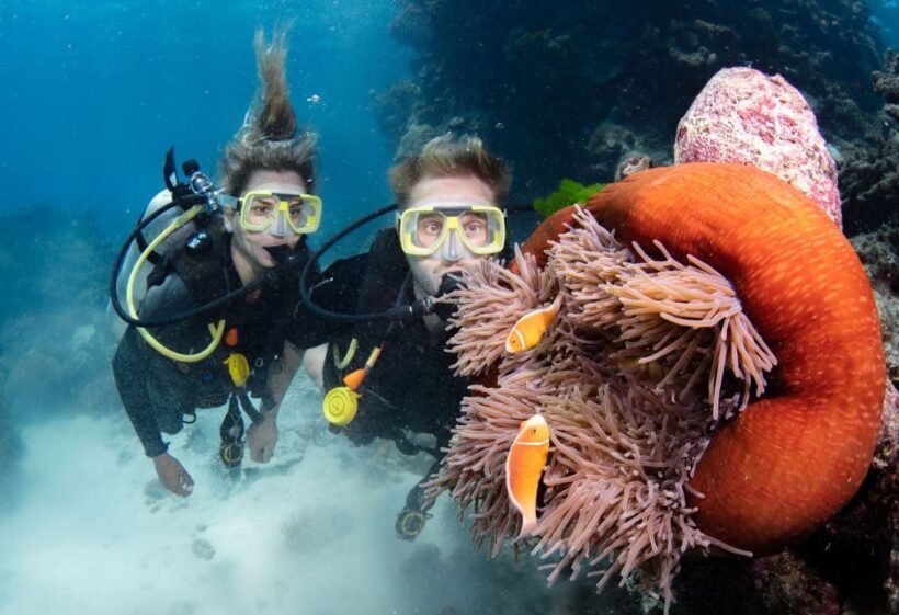 Cairns: Silverswift 3 Great Barrier Reef Sites in 1 Day - Final Thoughts