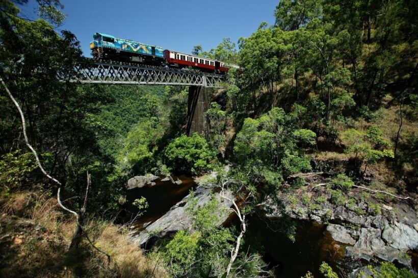 Cairns: Skyrail, Kuranda, and Rail Tour with Hotel Transfers - A Deep Dive Into the Experience