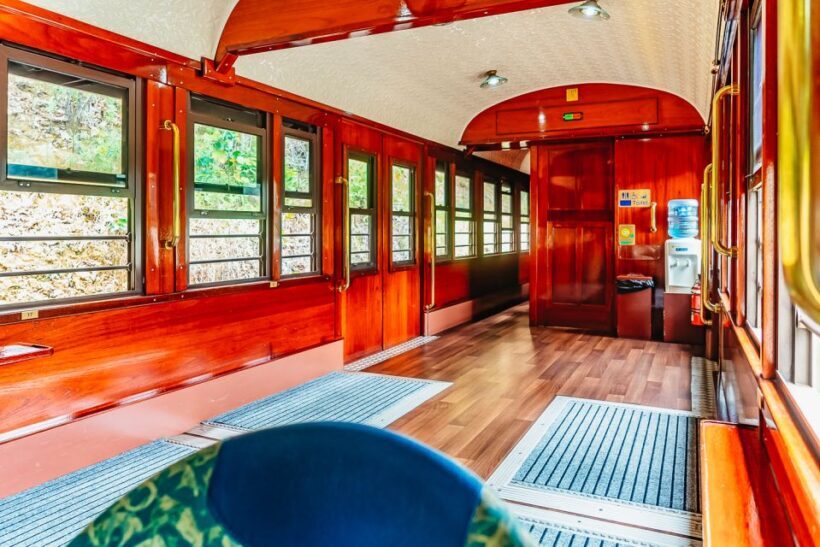 Cairns: Skyrail, Kuranda, and Rail Tour with Hotel Transfers - Authentic Insights from Travelers