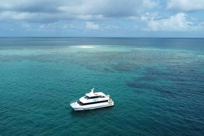 Cairns: Small Group | Outer Great Barrier Reef Snorkel & Dunk Is. - An In-Depth Review of the Tour Experience