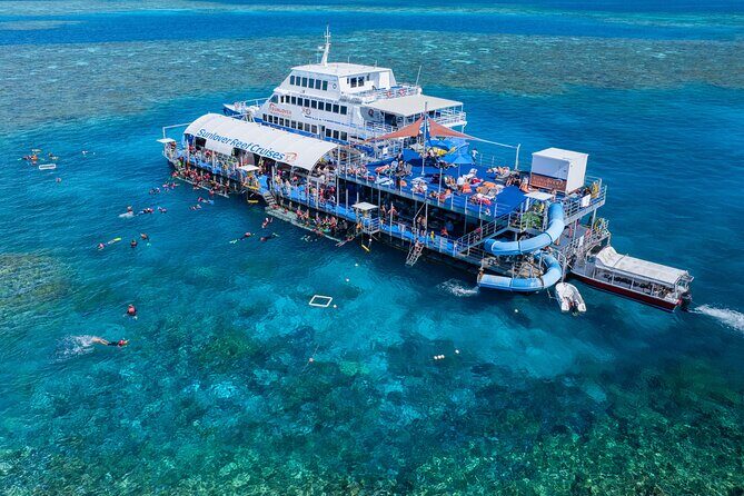 Cairns: Small Group | Outer Great Barrier Reef Snorkel & Dunk Is. - Final Words
