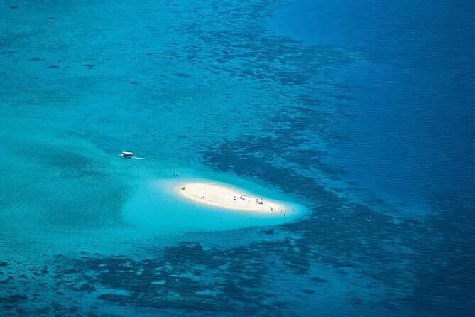 Cairns: Small Group | Outer Reef Snorkel & Dunk Island - An In-Depth Look at the Experience