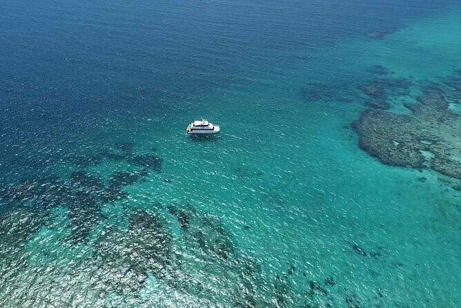 Cairns: Small Group | Outer Reef Snorkel & Dunk Island - Who Should Consider This Tour?