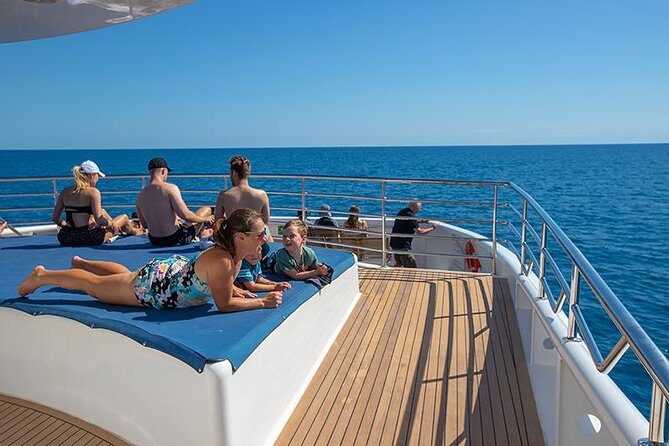 Cairns Super Saver: Reef Cruise, Daintree & Kuranda Rail/Skyrail - Practical Details and What to Expect