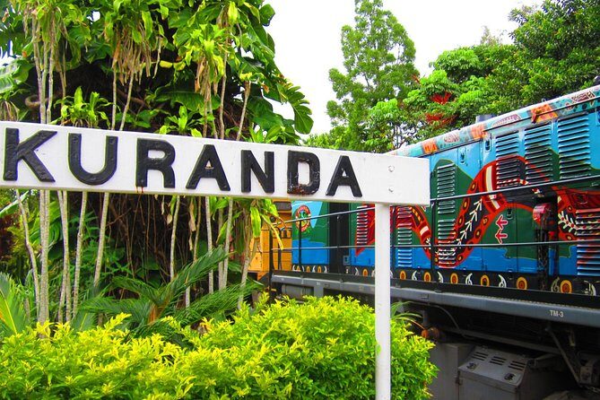 Cairns Super Saver: Reef Cruise, Daintree & Kuranda Rail/Skyrail - Who Should Consider This Tour?