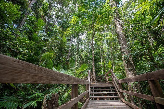 Cairns Super Saver: Reef Cruise, Daintree & Kuranda Rail/Skyrail - FAQs