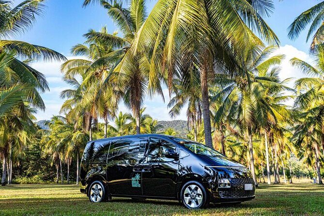 Cairns to Mission Beach ONE WAY Private Transfer 6 pax - Key Points