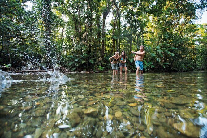 Cairns to Silky Oaks ONE WAY Private Transfer 6 pax - Who Will Love This?