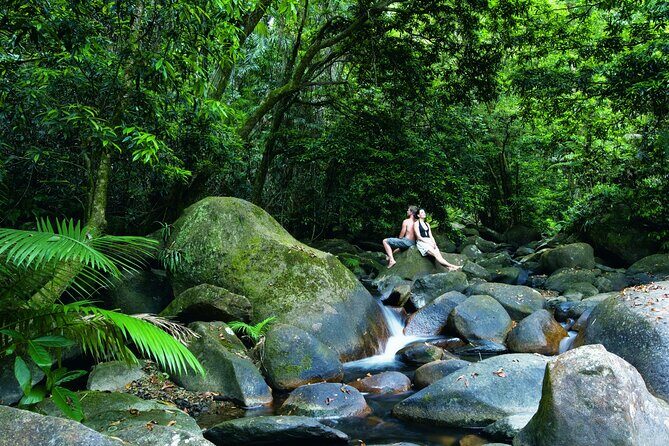 Cairns to Silky Oaks ONE WAY Private Transfer 6 pax - The Sum Up