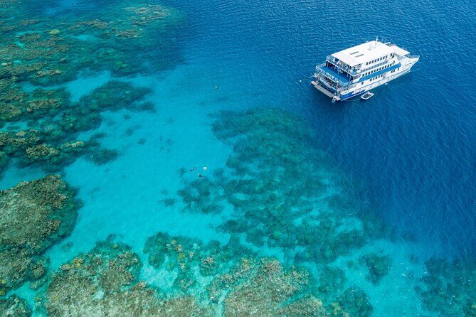 Cairns Trinity Inlet Sightseeing Safari - Transportation, Group Size, and Timing