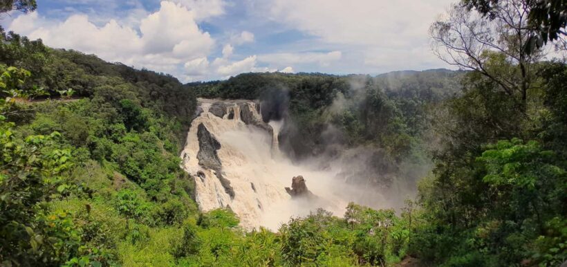 Cairns: Waterfall, Wetlands and Skyrail - An In-Depth Look at the Cairns Waterfall, Wetlands, and Skyrail Experience