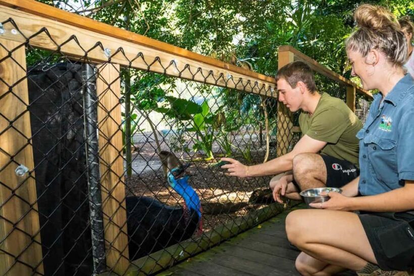 Cairns: Wildlife Habitat, Mossman Gorge, and Daintree Tour - Wildlife Habitat Port Douglas: Close Encounters
