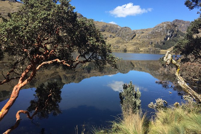 Cajas Unveiled: a Half-Day Escape From Cuenca - Exploring the Natural Wonders