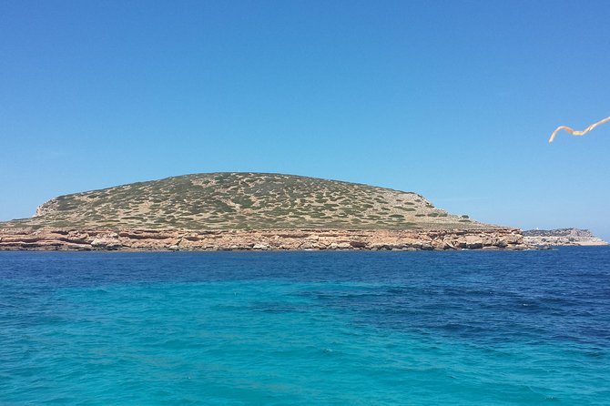 Cala Comte Private Catamaran Tour - Departure and Meeting Point