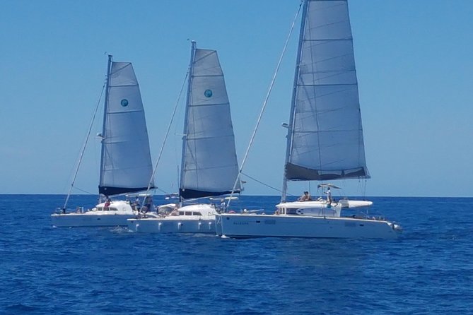 Cala Dhort Sailing Adventure - Exciting Activities to Enjoy