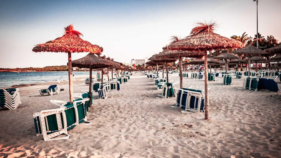 Cala d'Or: The Magical Creatures of Cala d'Or, family walk - The Sum Up