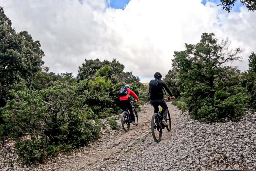 Cala Gonone and Dorgali e-bike tour - Introduction
