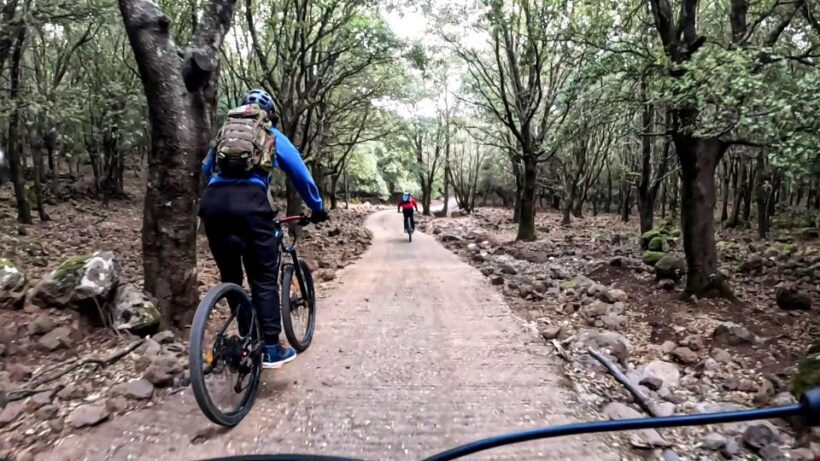 Cala Gonone and Dorgali e-bike tour - Key Points