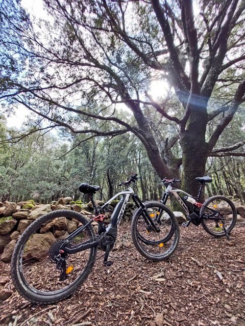 Cala Gonone and Dorgali e-bike tour - The Practical Side: Cost and Whats Included