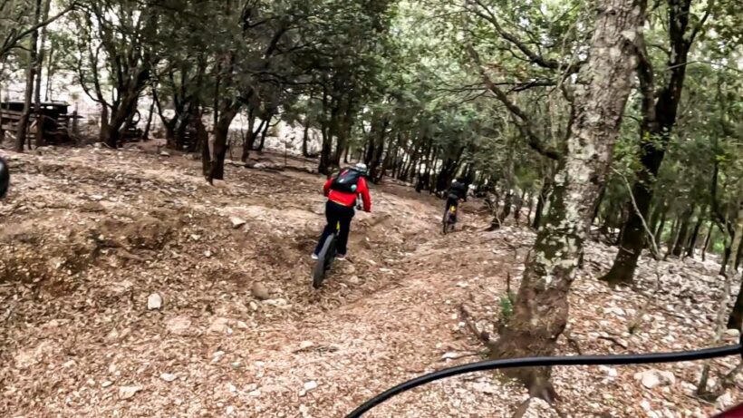 Cala Gonone and Dorgali e-bike tour - Who Should Consider This Tour?